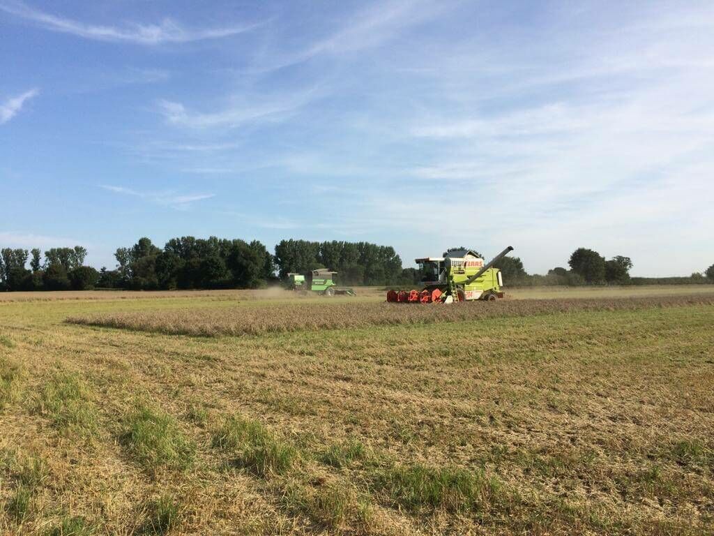 Bio Landwirtschaft - Rittergut Oyle